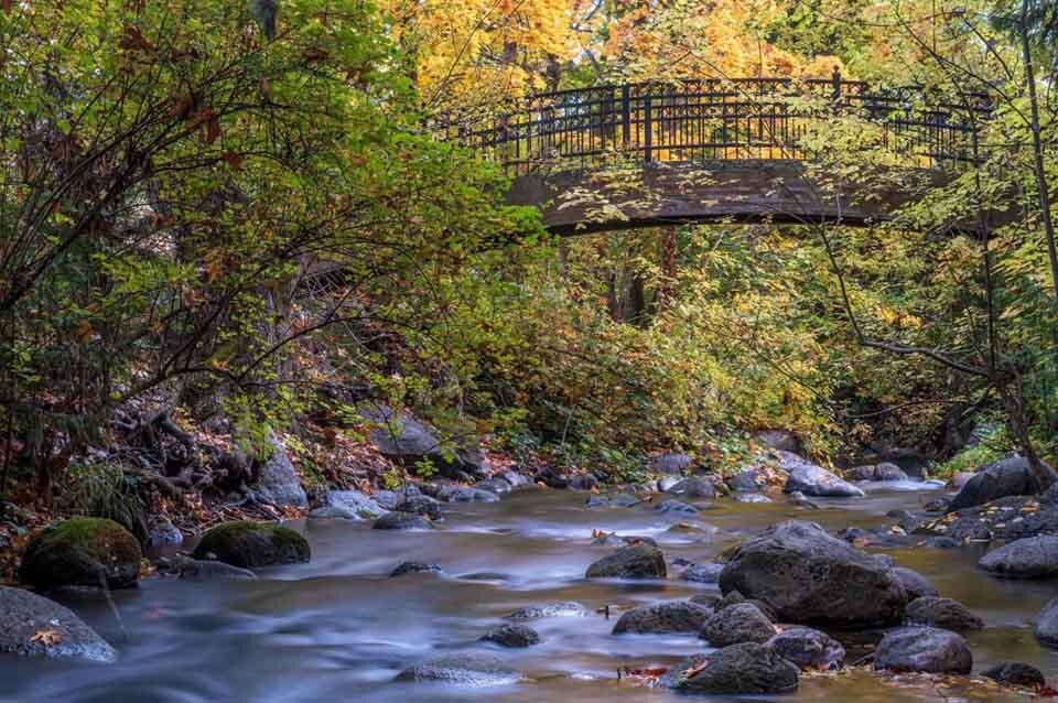 20 Things To Do And See In Ashland, Oregon | Daily Tidings