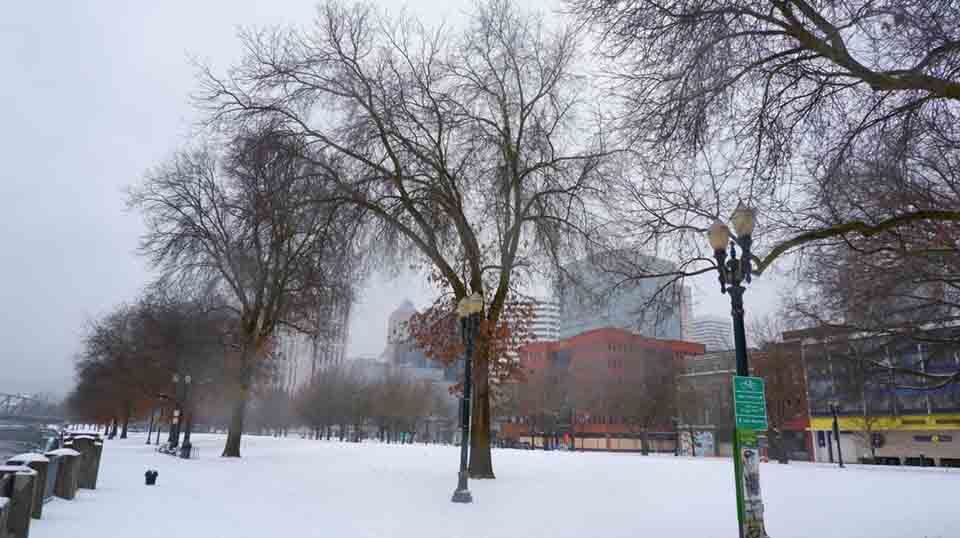 Storm and Cold Weather in Oregon Wreak Havoc | Daily Tidings