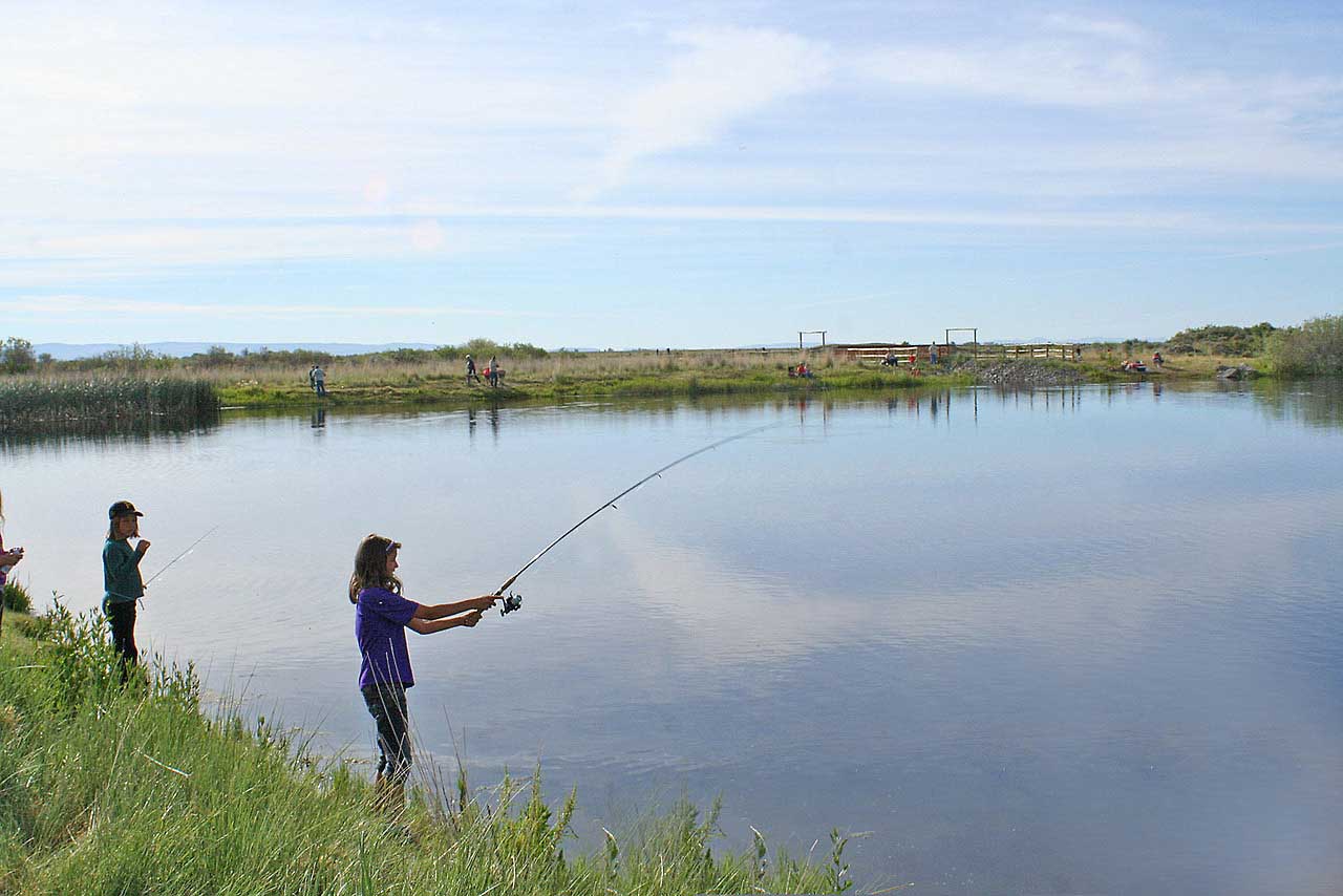 Oregon Petition to Criminalize Hunting and Fishing Moves Forward as ...