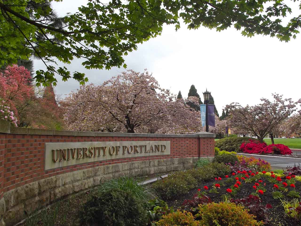 Oregon's Business Degrees Among Nation’s Priciest, Graduates Paying ...