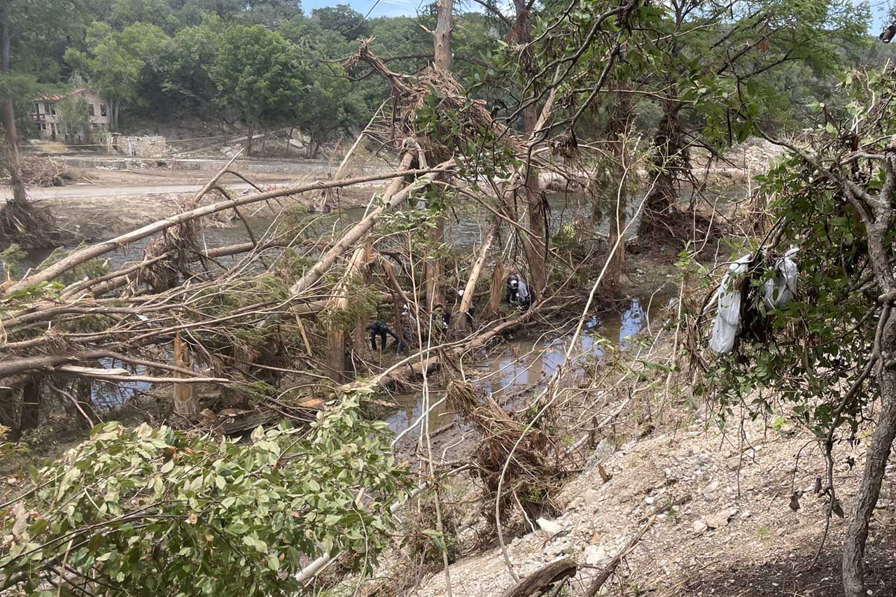 Oregon Sends Trained Search Dogs to Aid Texas in Ongoing Disaster ...