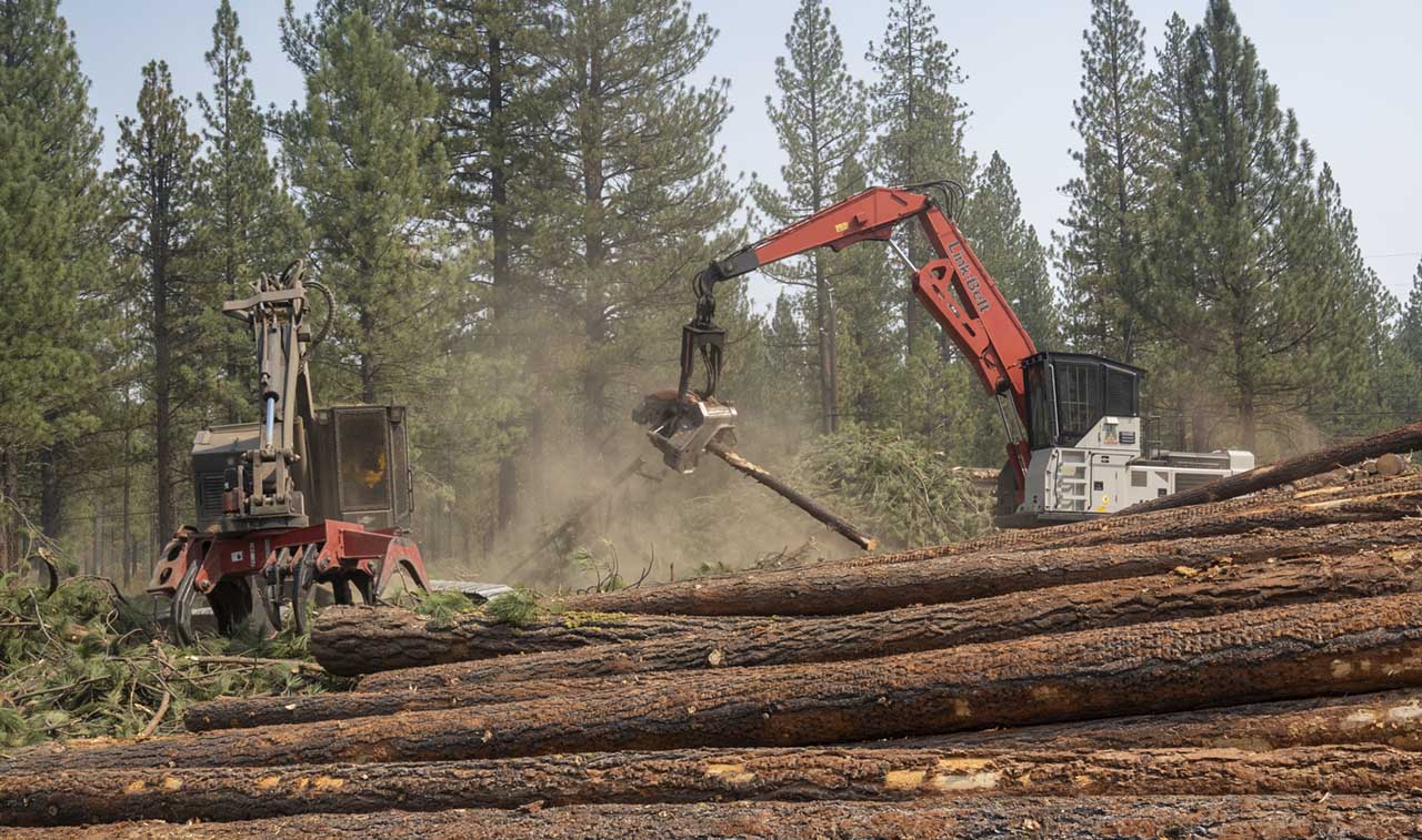 Oregon Loses Nearly 10,000 Manufacturing Jobs Despite Incentives as ...