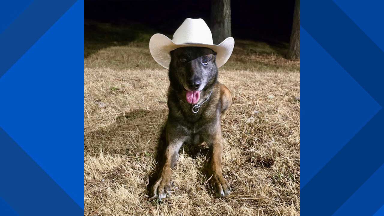 Oregon Deputies Say K9 Bit Through Suspect’s Phone Near Cottage Grove ...